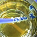 How to make Apfelschorle (German Apple Spritzer)?