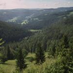 The Black Forest: A Natural Wonder | Germany